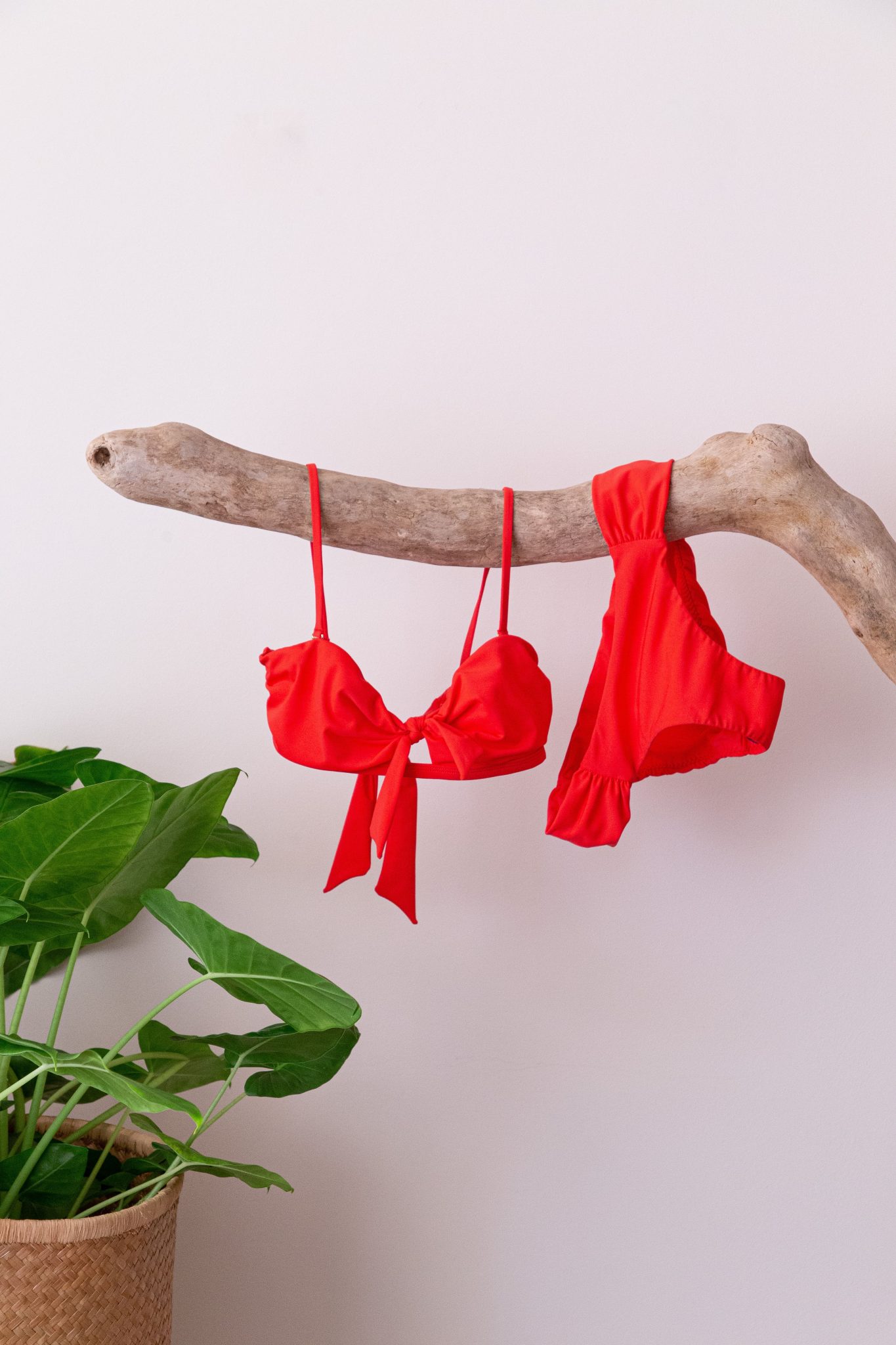 WOMEN BIKINIS IRIS Scarlet Red - Aqua Swimwear